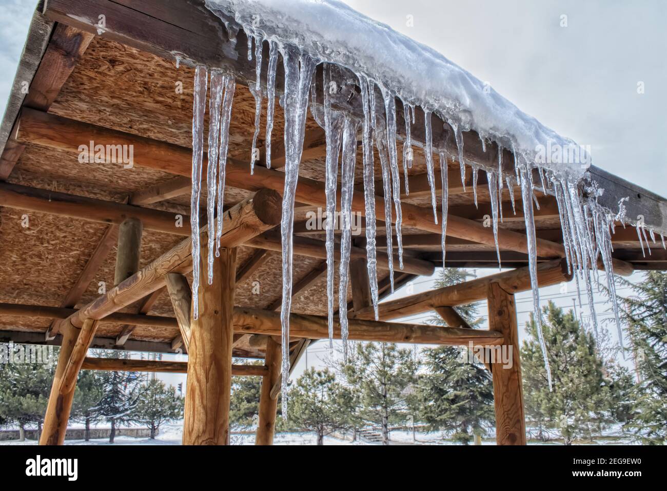 Sharp and dangerous icicles hanging. Cold weather. Winter concept Stock ...