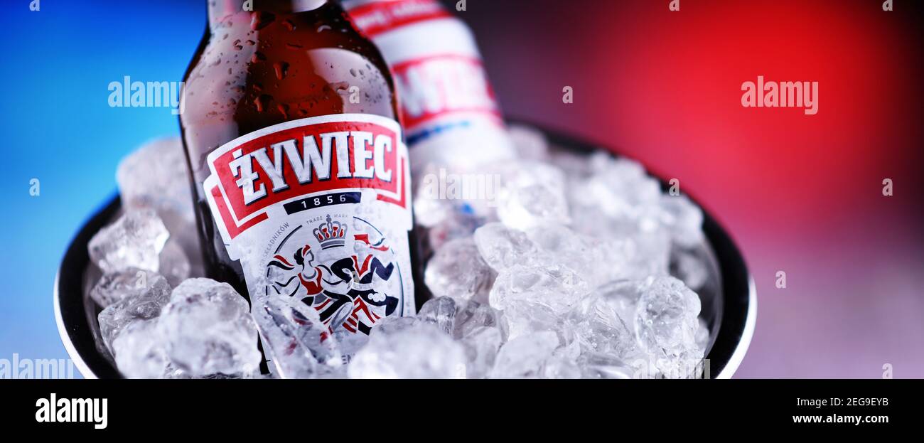 POZNAN, POL - OCT 8, 2020: Bottle and can of Zywiec Beer, a pale lager ...