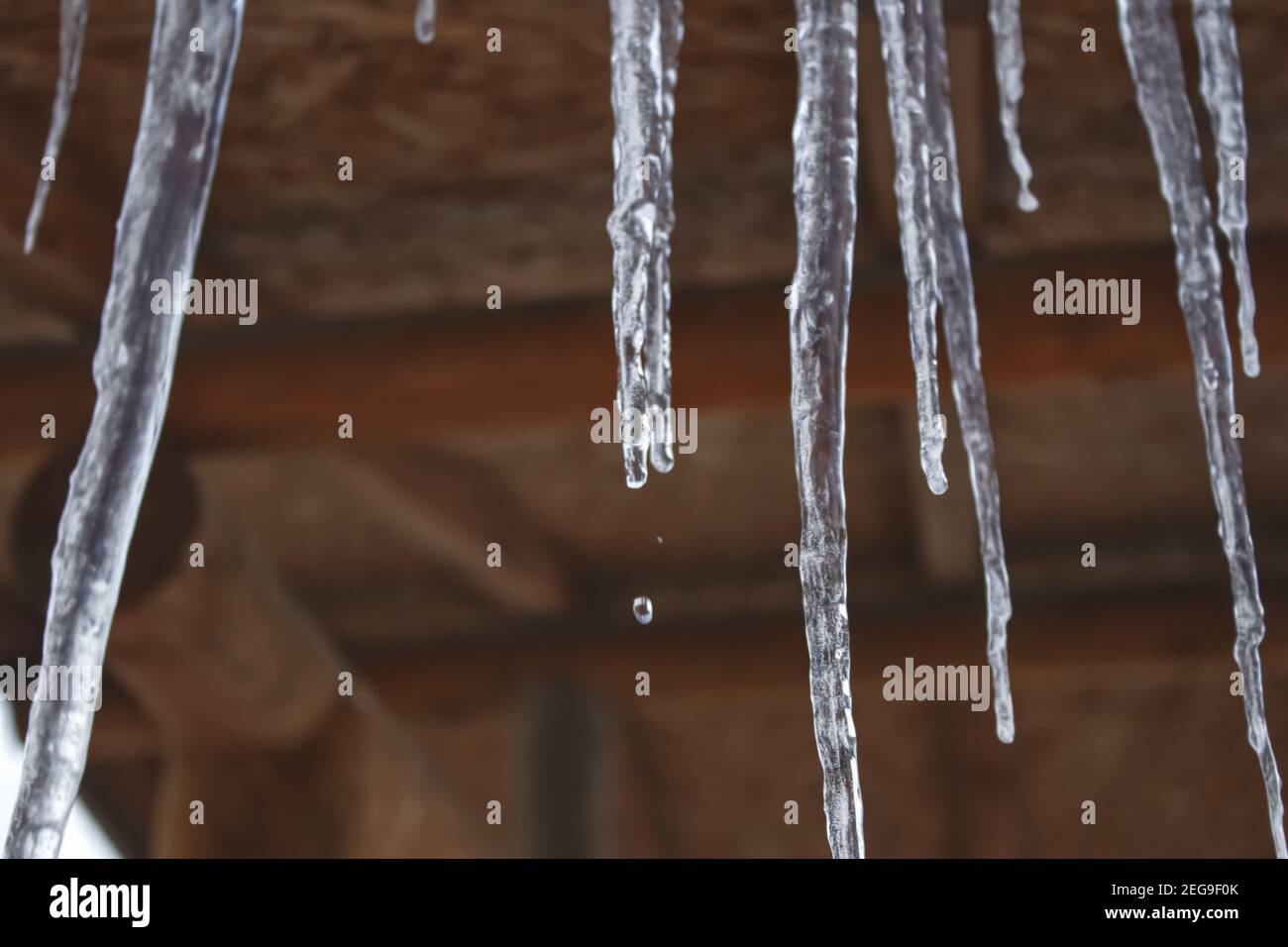Long white icicle hi-res stock photography and images - Alamy