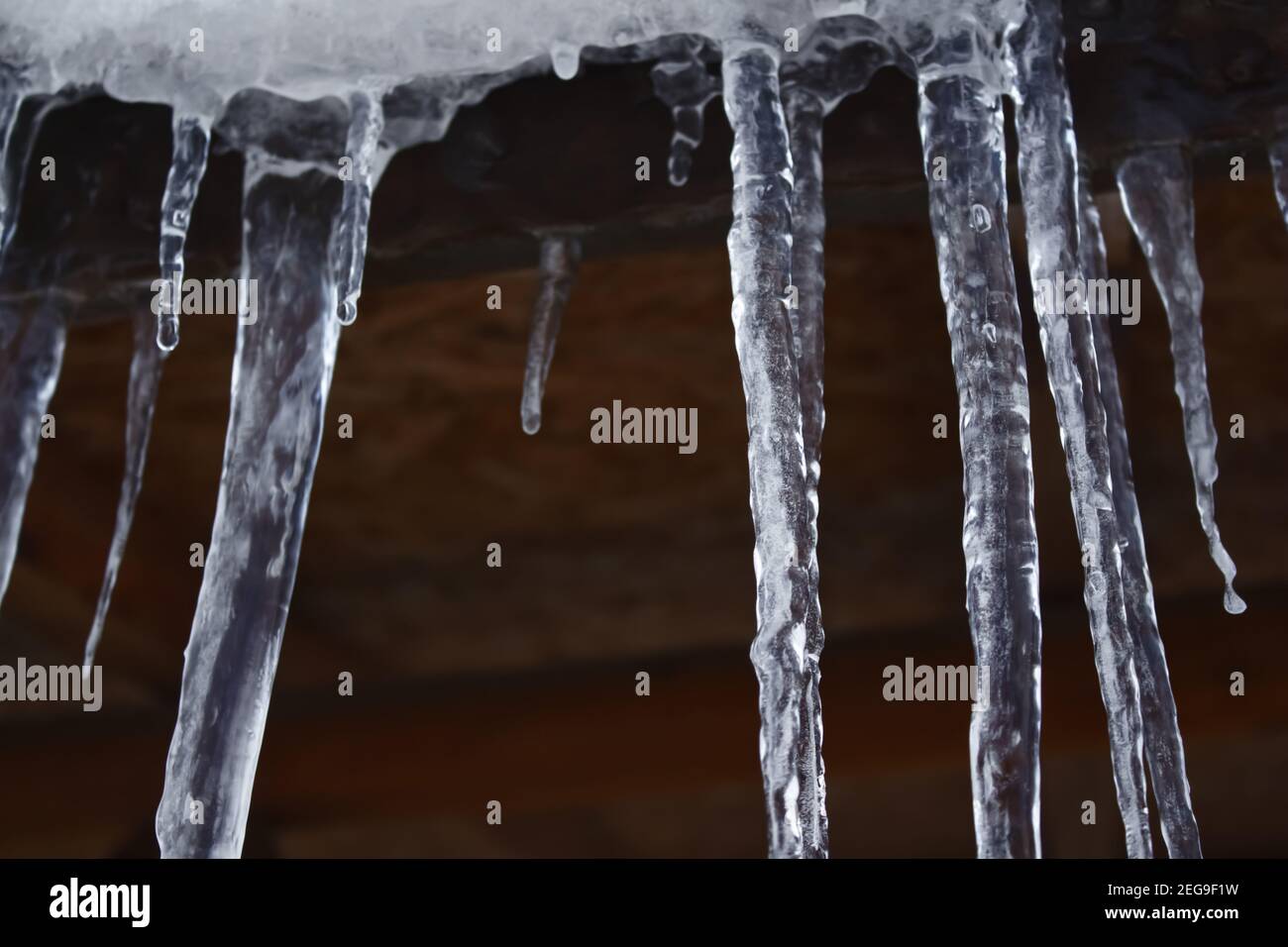 Sharp and dangerous icicles hanging. Cold weather. Winter concept Stock ...