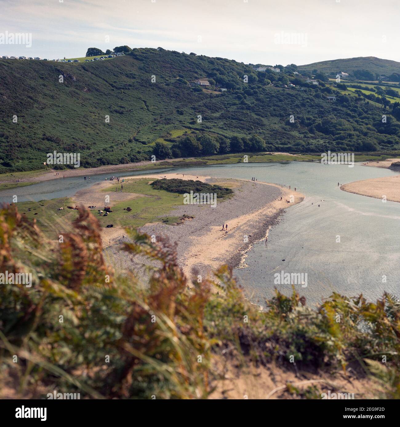 Chaparral shrubland hi-res stock photography and images - Alamy