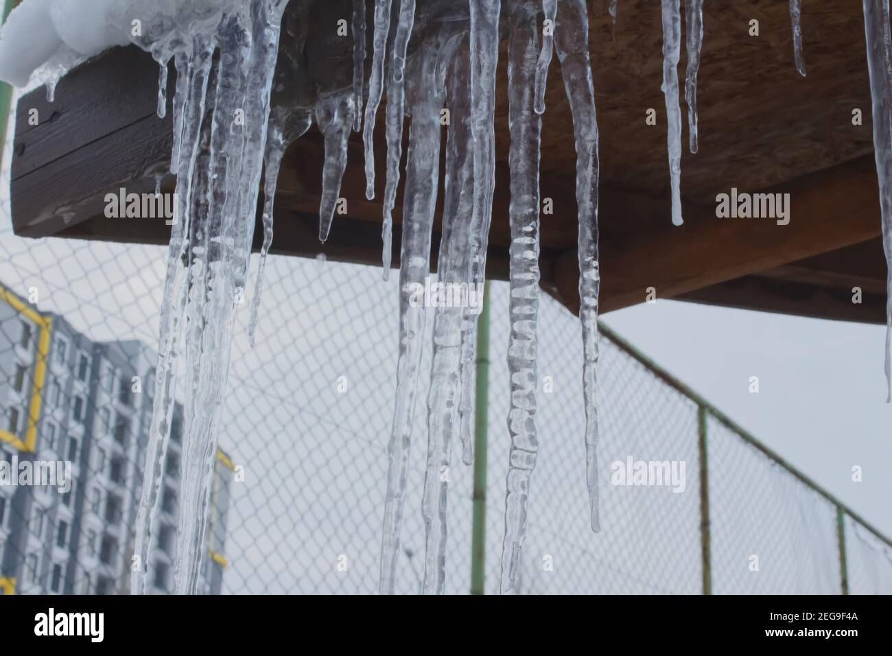 Sharp and dangerous icicles hanging. Cold weather. Winter concept Stock ...