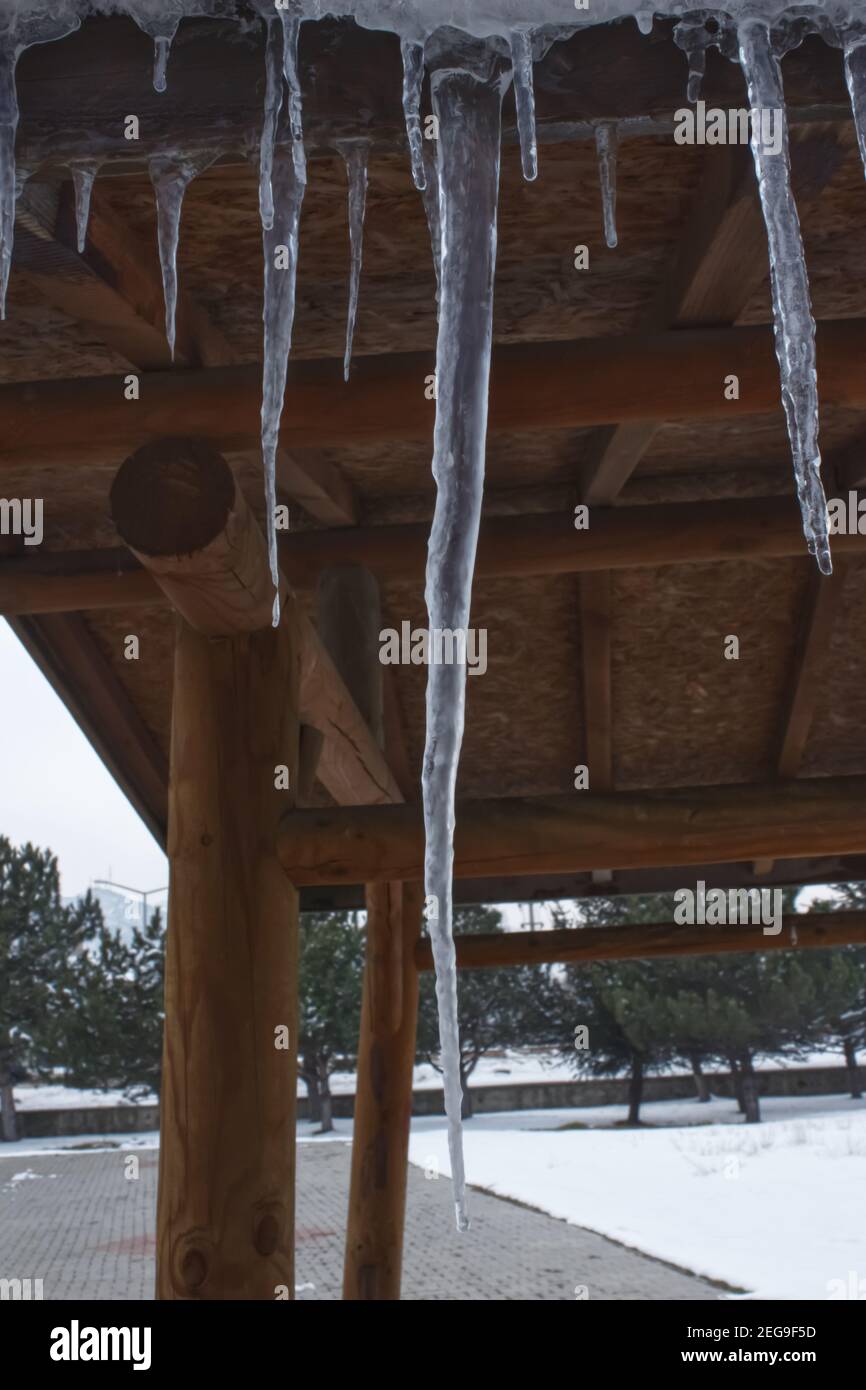 Sharp and dangerous icicles hanging. Cold weather. Winter concept ...