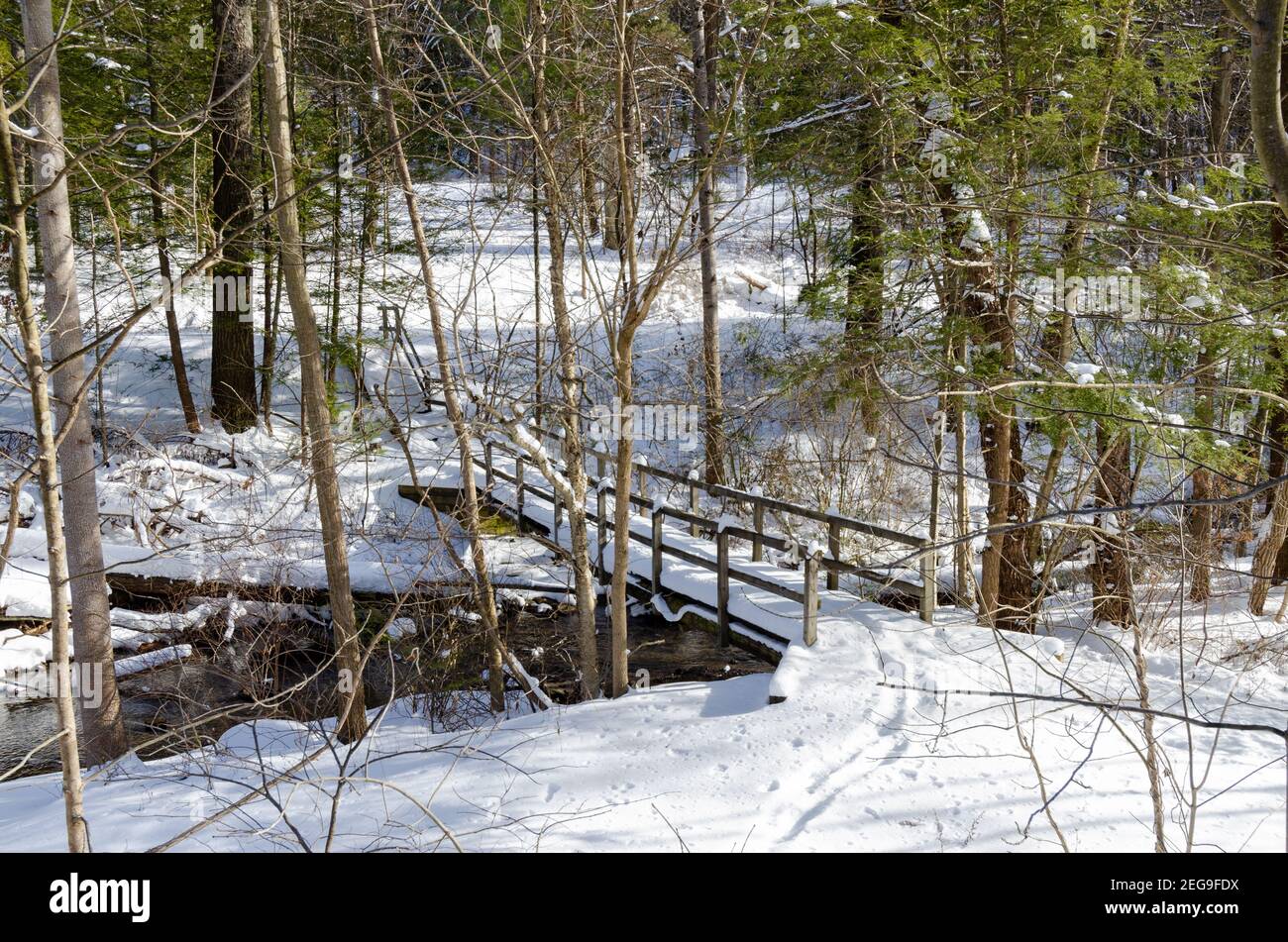Snow covered foot bridge in a forest after a blizzard Stock Photo - Alamy