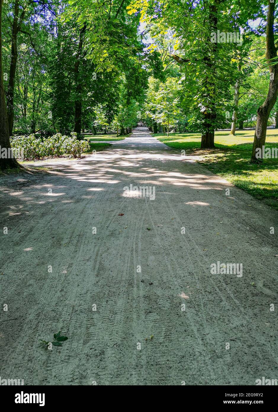 Park trees long grass hi-res stock photography and images - Alamy