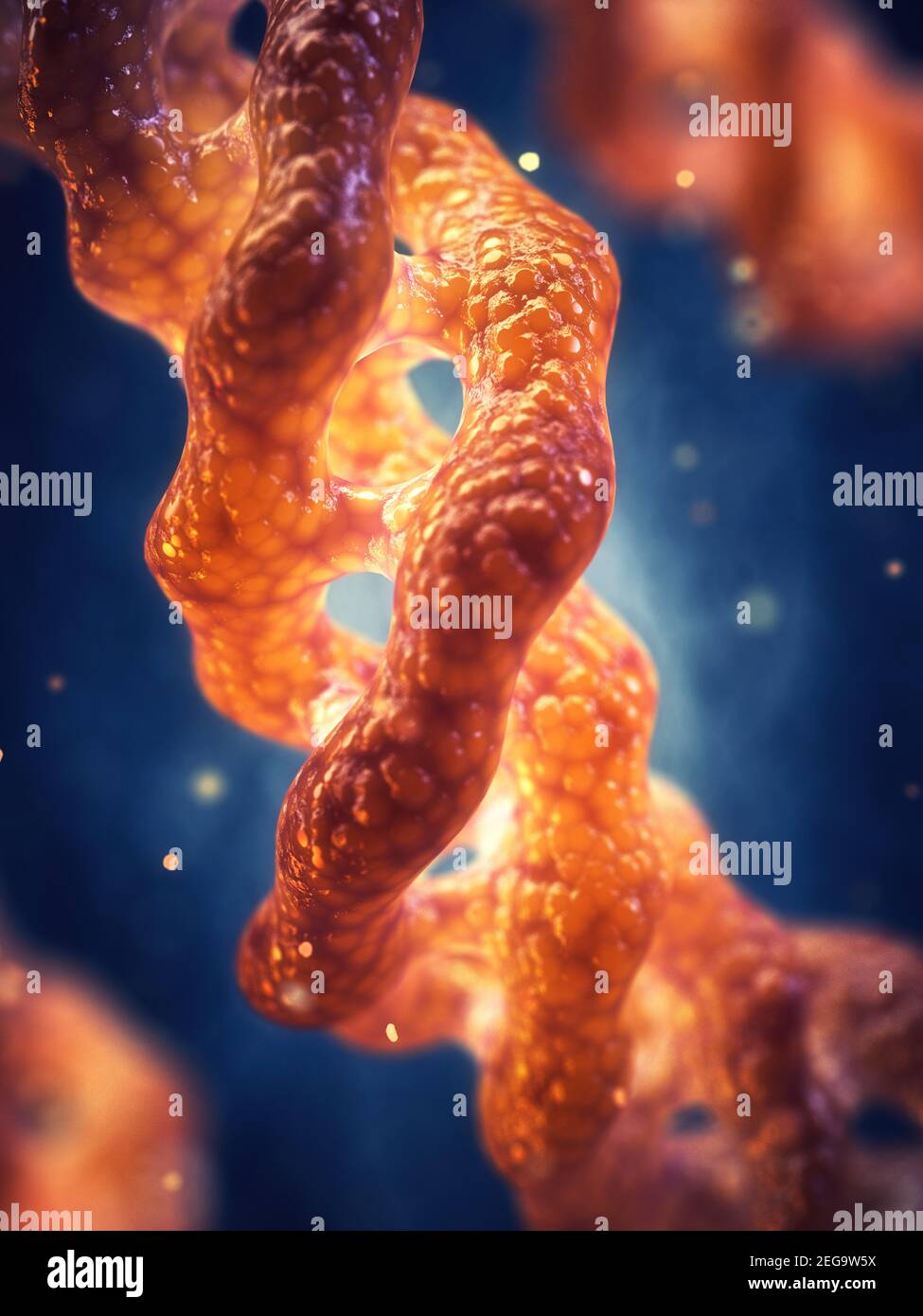 Collagen fibril 3d hi-res stock photography and images - Alamy
