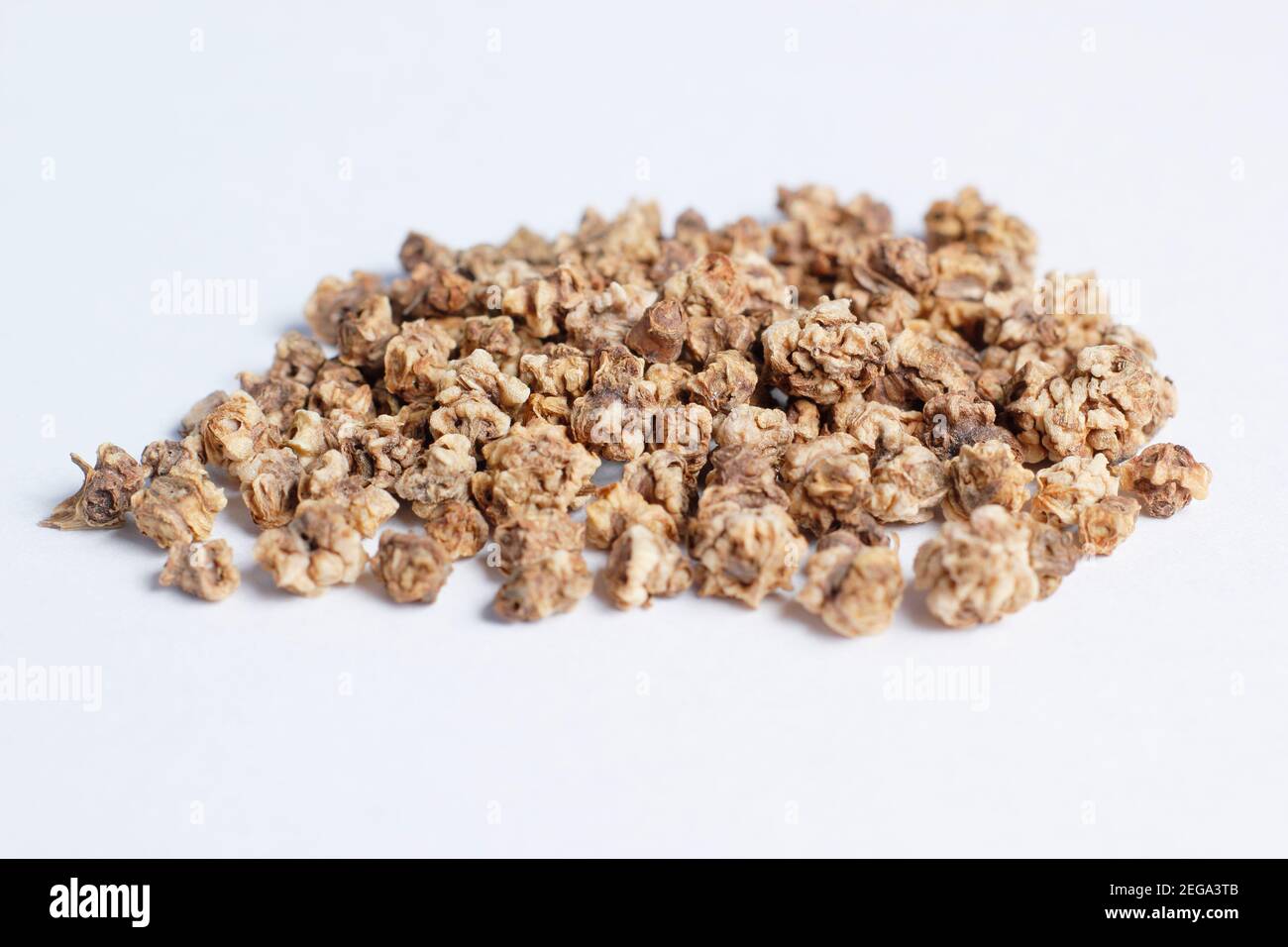 Beetroot seeds isolated on white background. Seeds of Detroit 2 Crimson ...