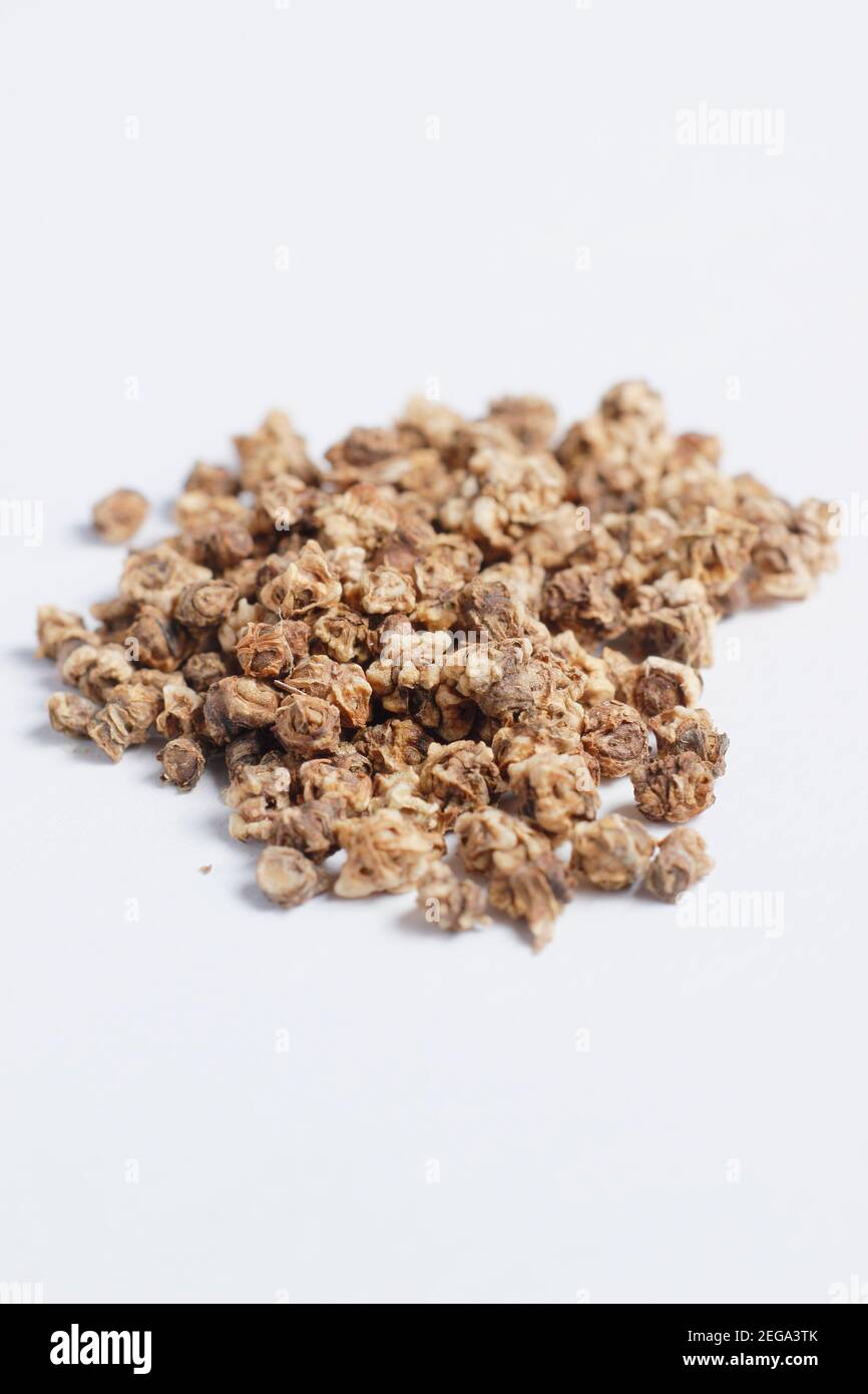 Beetroot seeds isolated on white background. Seeds of Detroit 2 Crimson ...