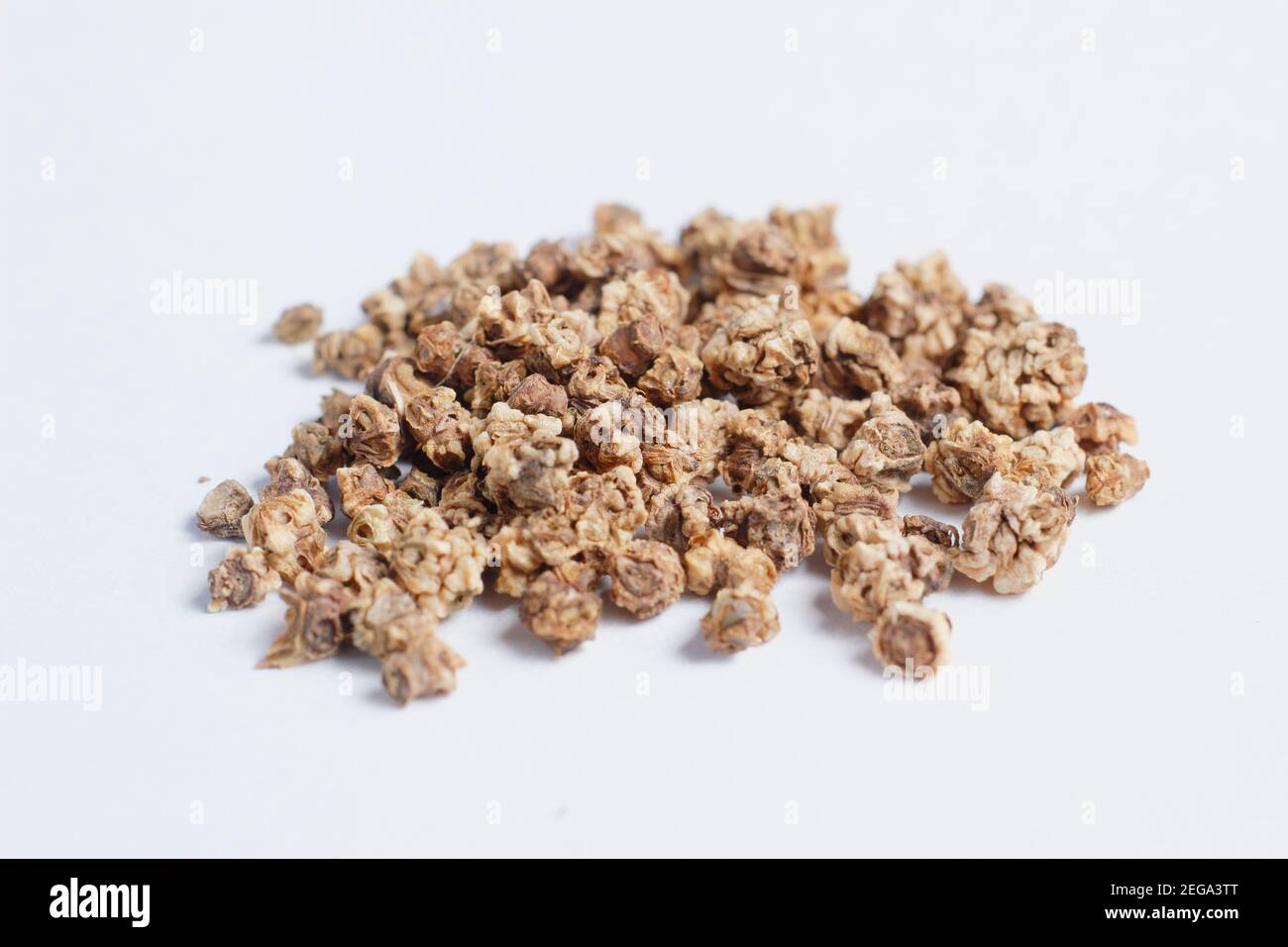 Beetroot seeds isolated on white background. Seeds of Detroit 2 Crimson ...