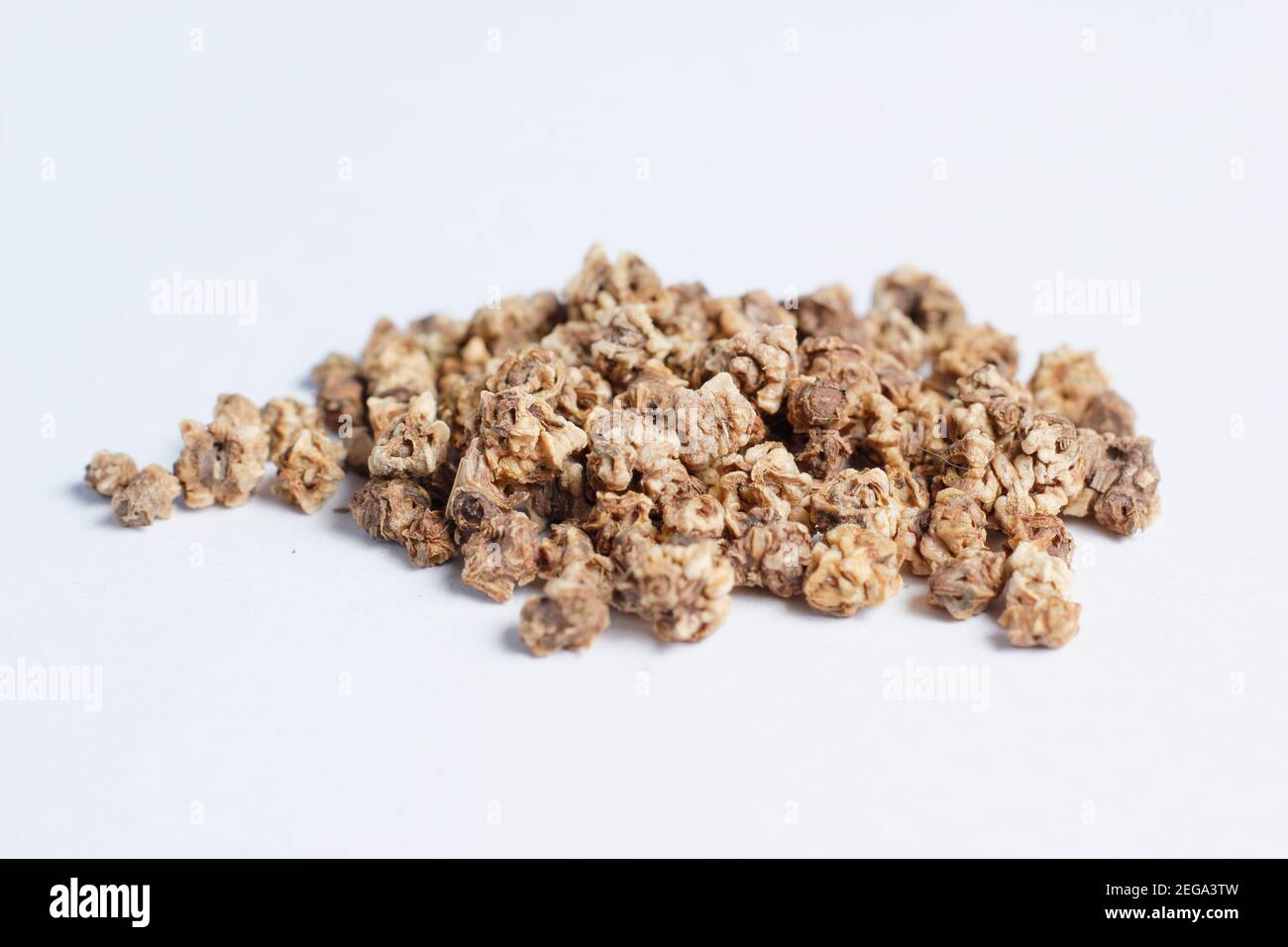 Beetroot seeds isolated on white background. Seeds of Detroit 2 Crimson ...