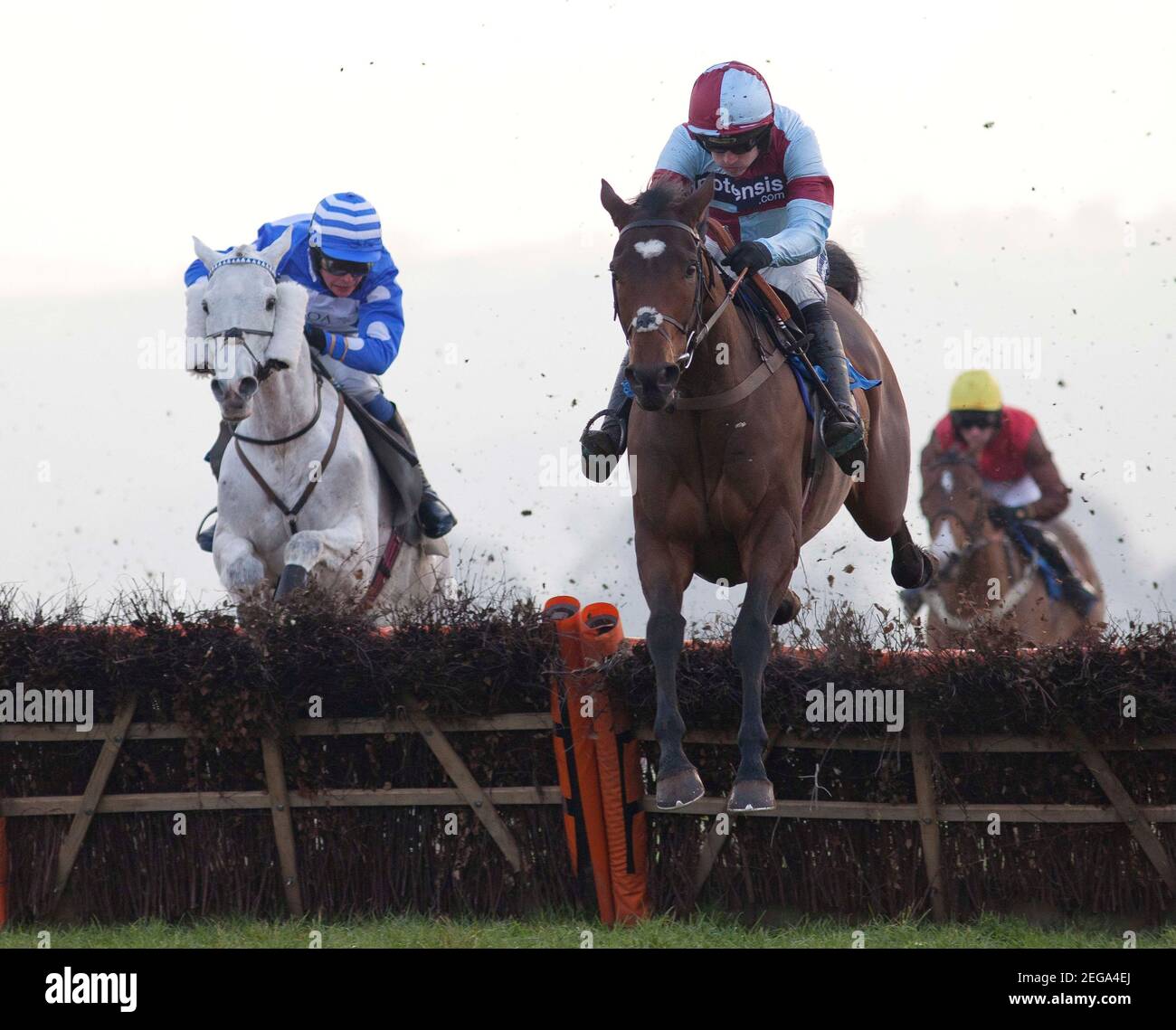 Ted walsh horse hi-res stock photography and images - Alamy