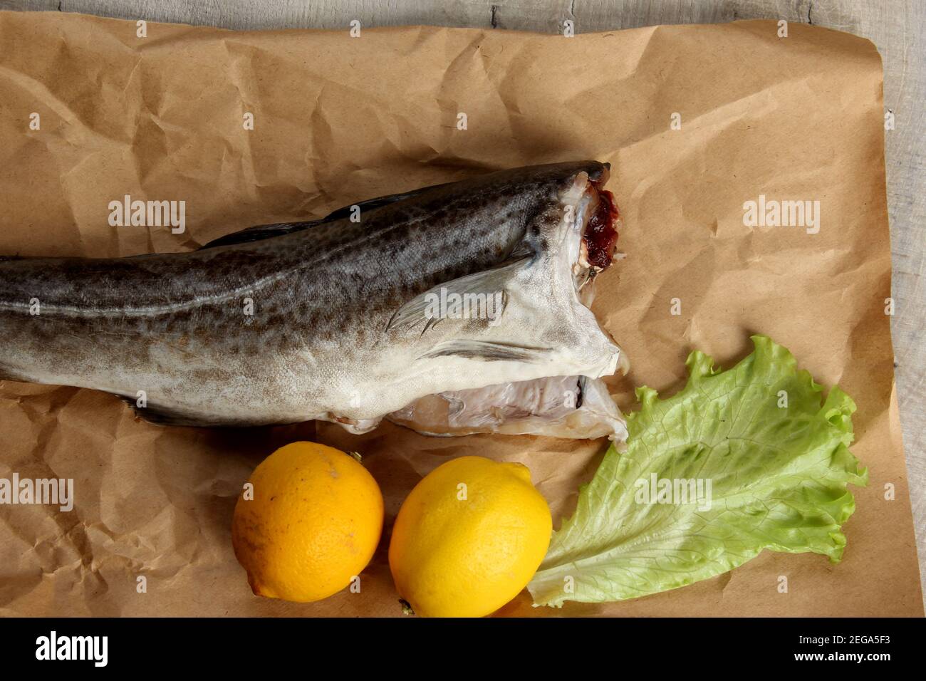 Fresh whole cod without a head on a sheet of paper, lemons and a green ...