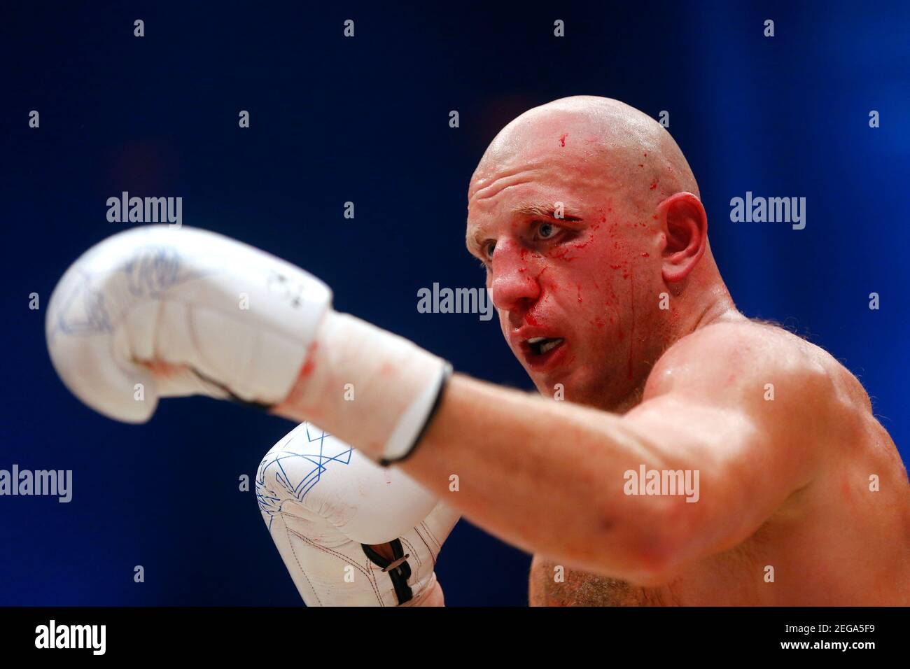 David graf hi-res stock photography and images - Alamy