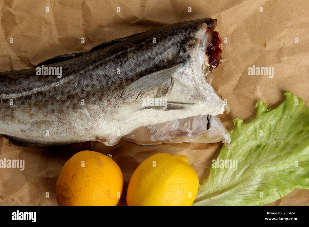 Fresh whole cod without a head on a sheet of paper, lemons and a green ...