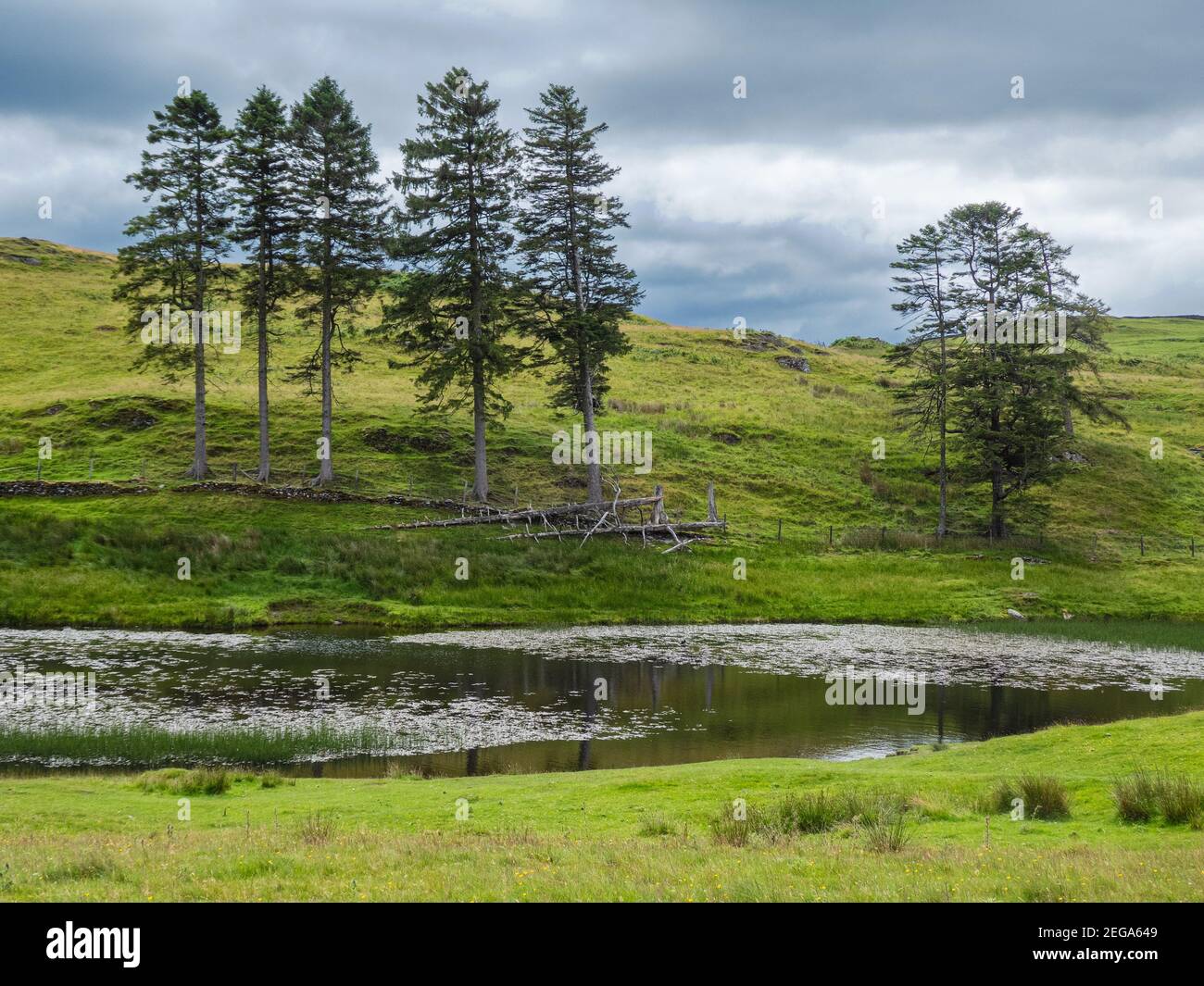 School Knot Tarn: a small body of water in the English Lake District ...