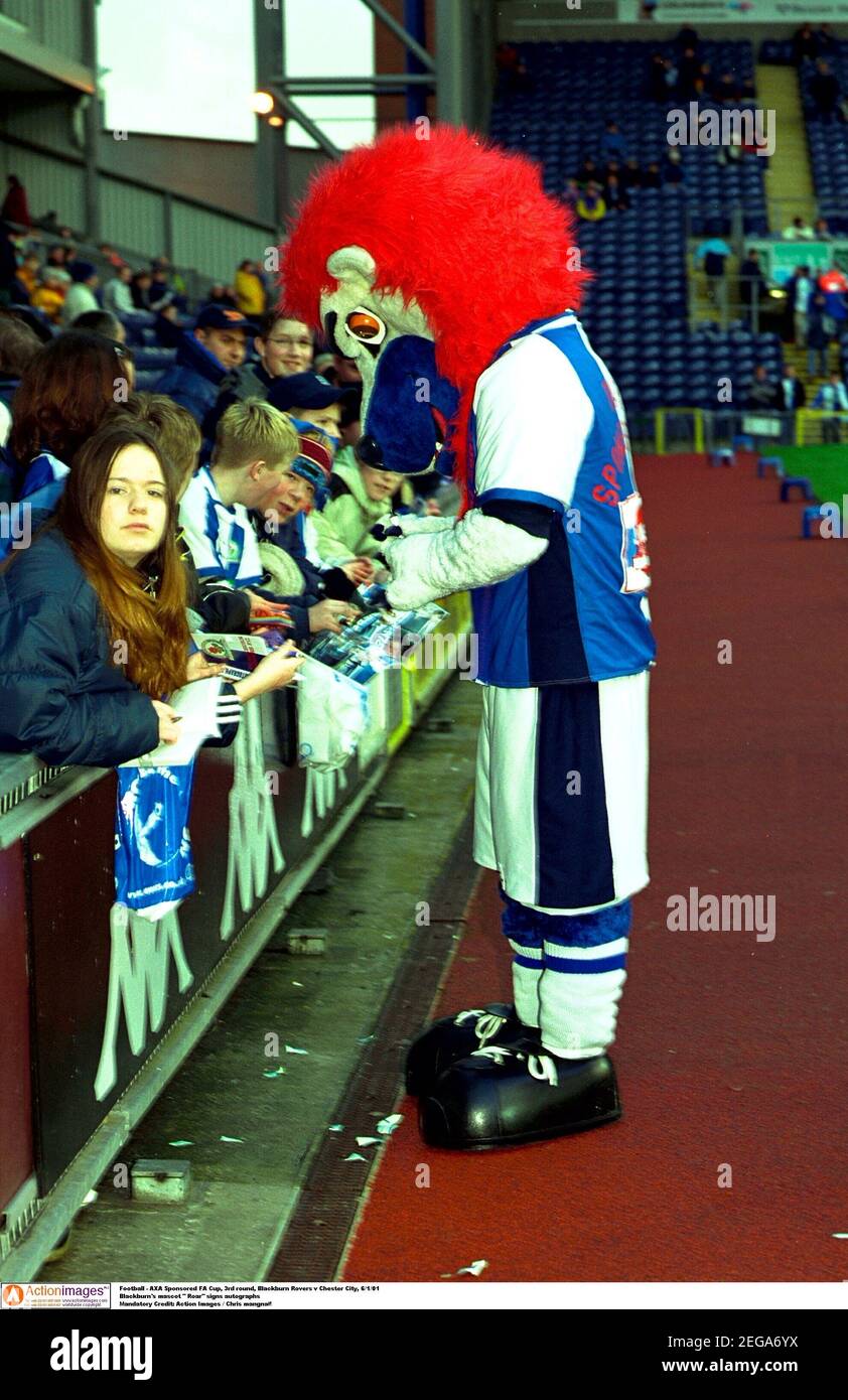 Blackburn rovers mascot roar hi-res stock photography and images - Alamy