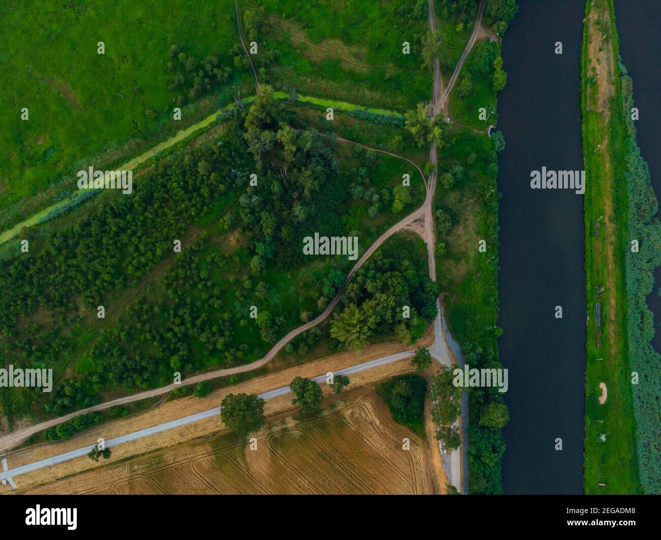 Aerial top down look to streets and paths between forest and fields and ...