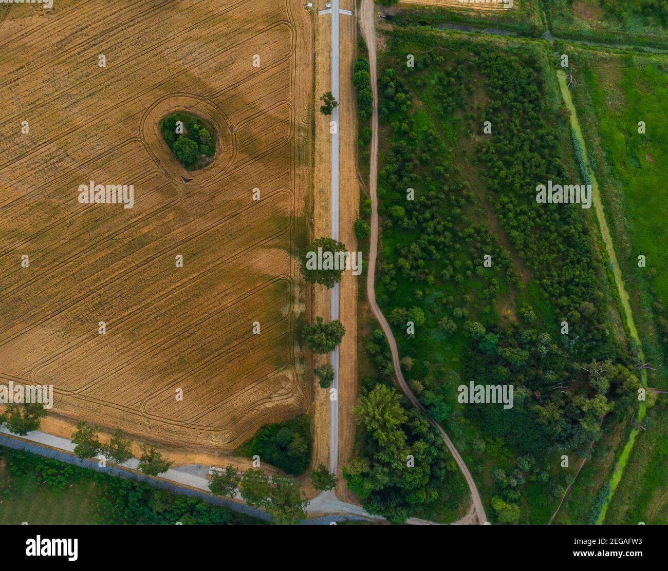 Top down forest hi-res stock photography and images - Alamy