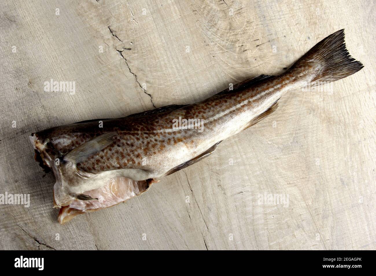 Atlantic cod uncooked hi-res stock photography and images - Alamy