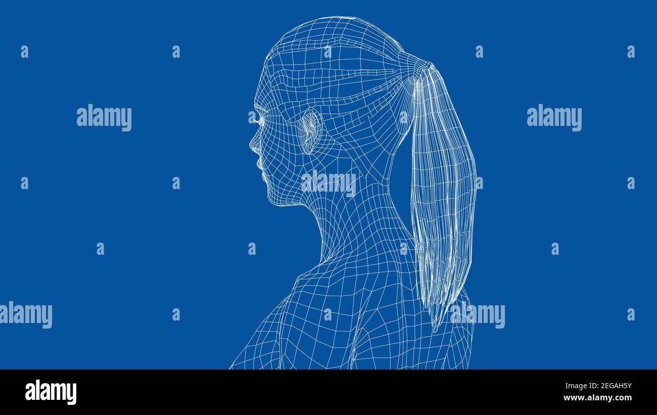 Female wireframe head Stock Vector Images - Alamy
