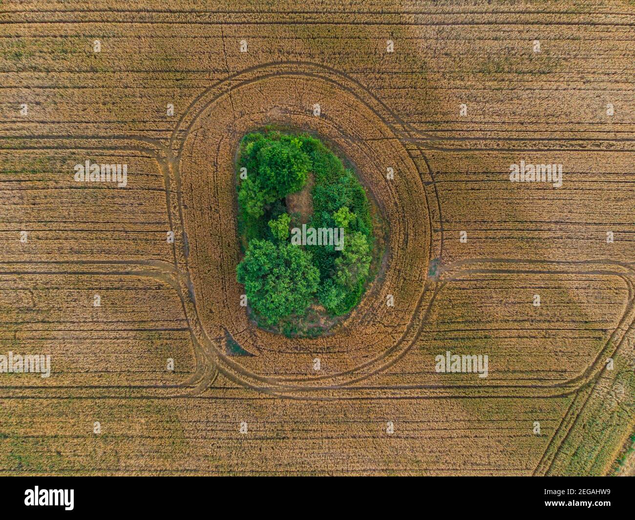 Aerial top view green field hi-res stock photography and images - Alamy