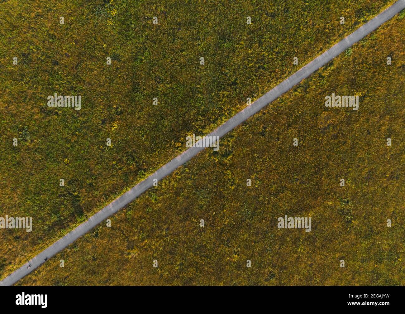 Aerial Top down look to long path between fields at sunny morning Stock ...