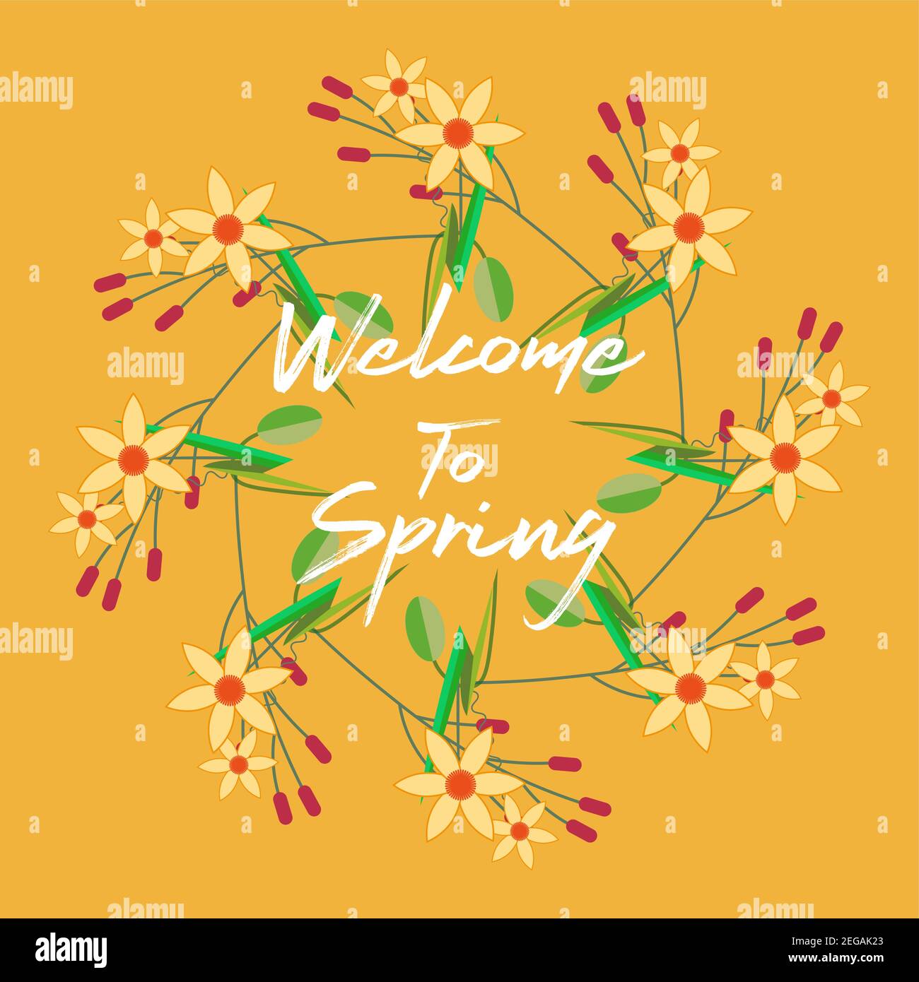 Spring flowers radial vector pattern vector illustration on a white ...