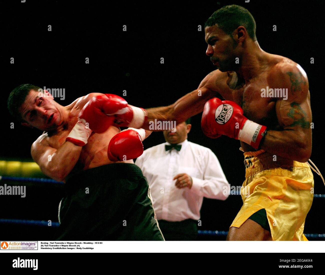 Tsarenko hi-res stock photography and images - Alamy