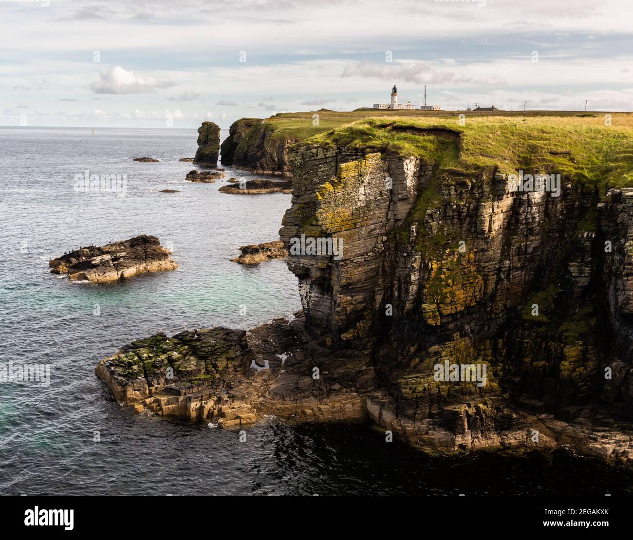 Noss head hi-res stock photography and images - Alamy