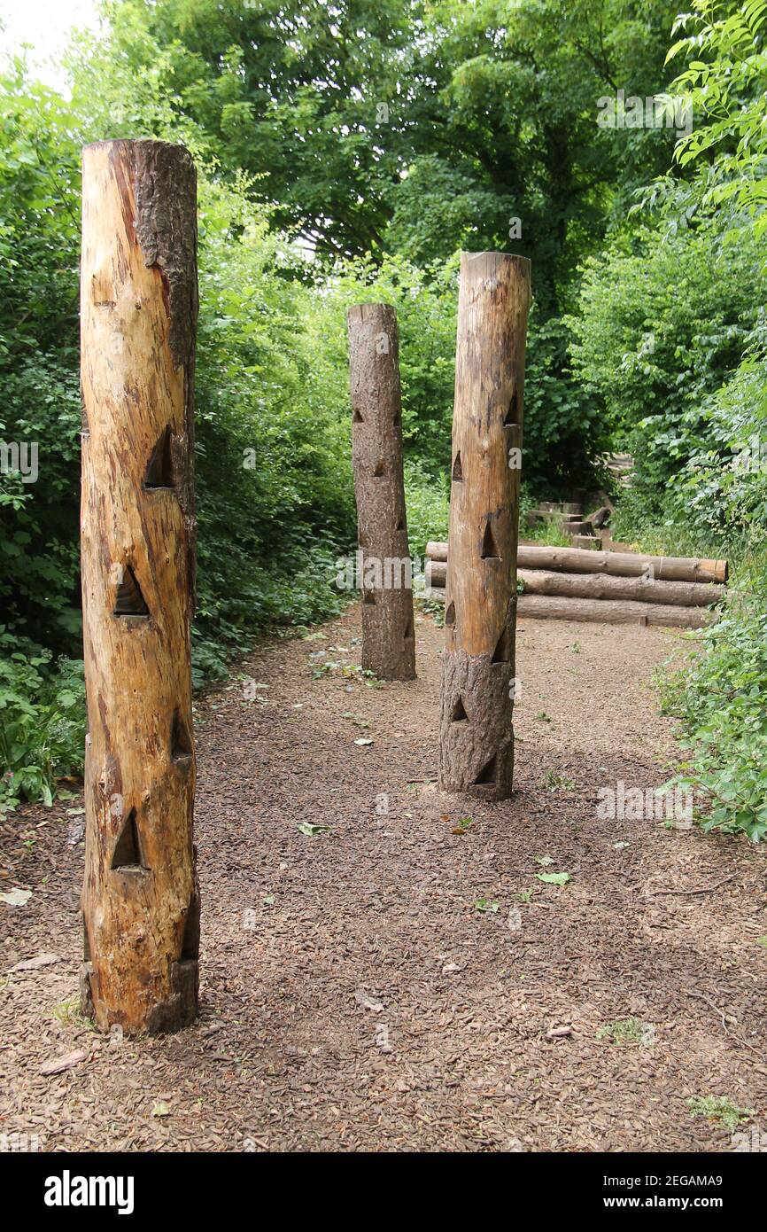 A Row of Vertical Wooden Climbing Activity Posts Stock Photo - Alamy