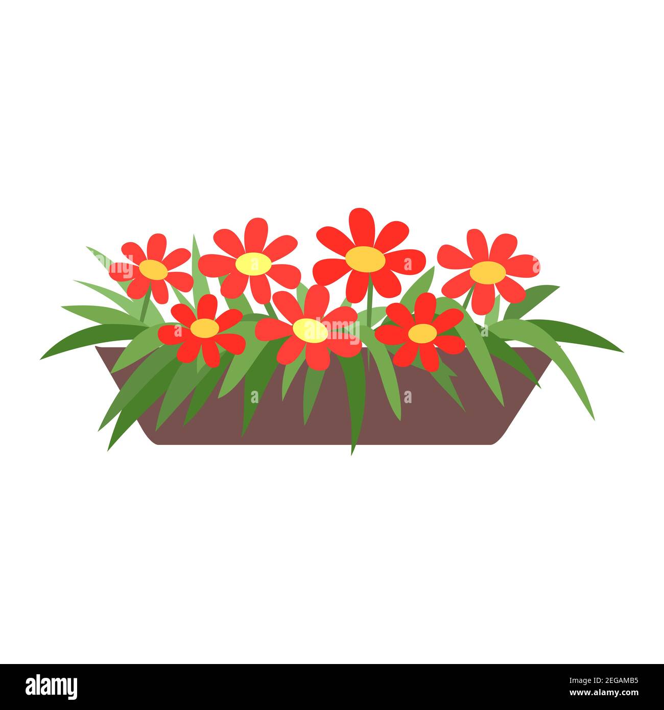 Green carnation botanical illustration Cut Out Stock Images & Pictures ...