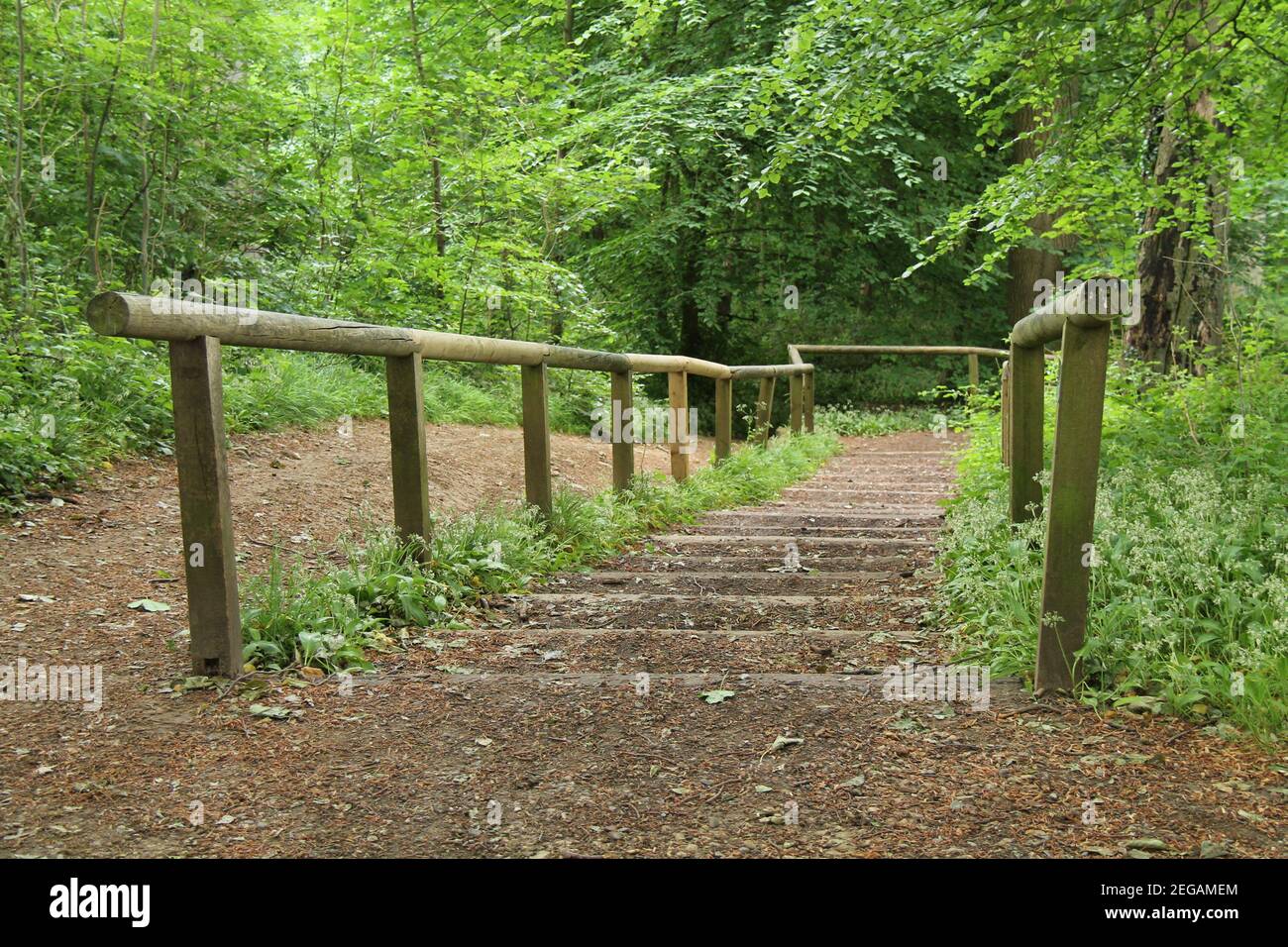 A Set of Wooden Steps on a Woodland Pathway Stock Photo - Alamy