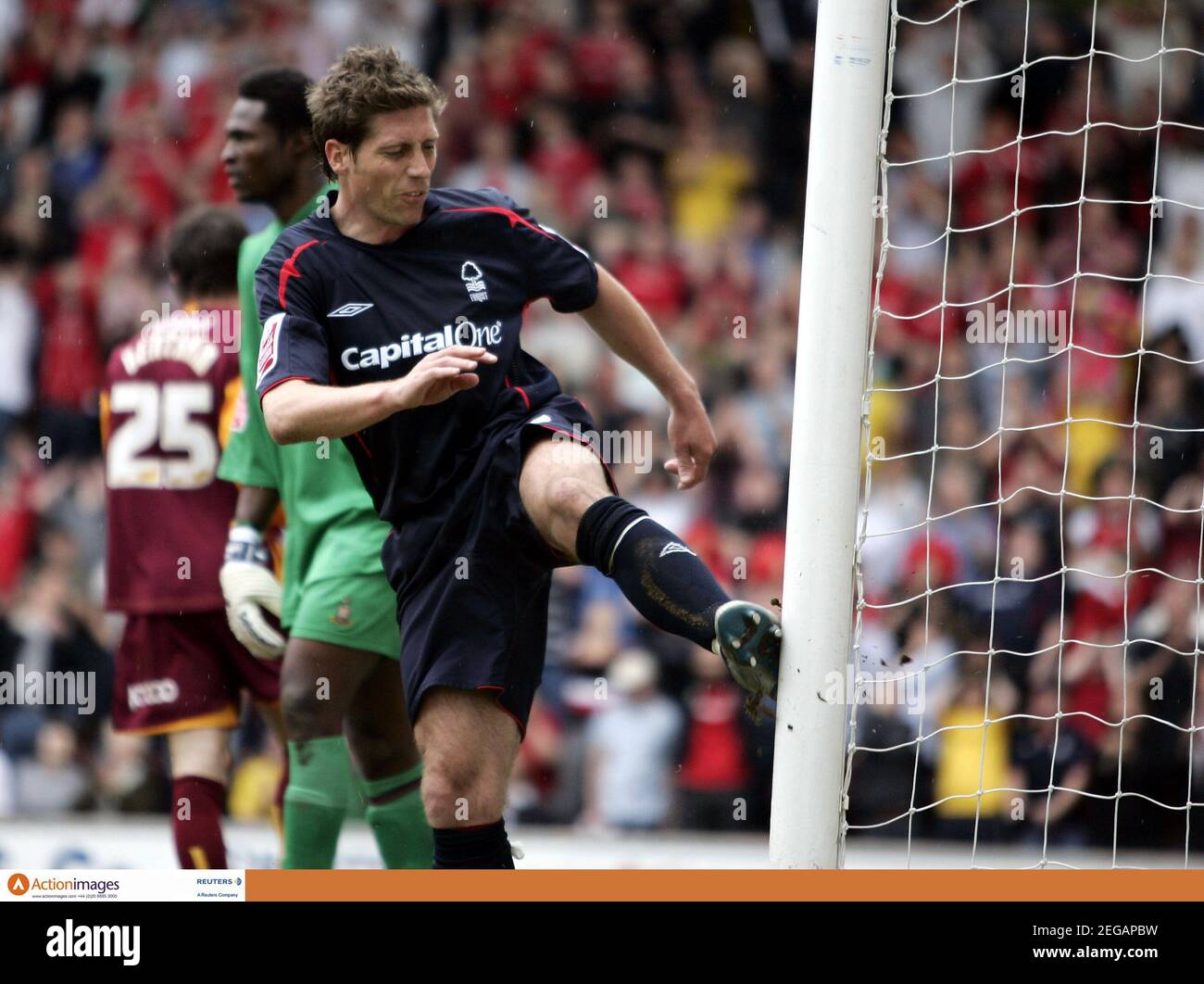 Nicky southall forest hi-res stock photography and images - Alamy