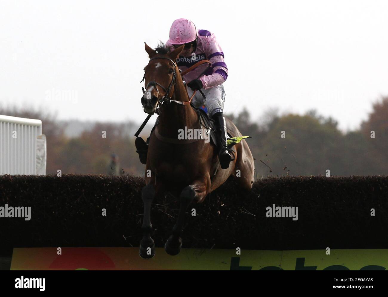Chase exeter racecourse hi-res stock photography and images - Alamy