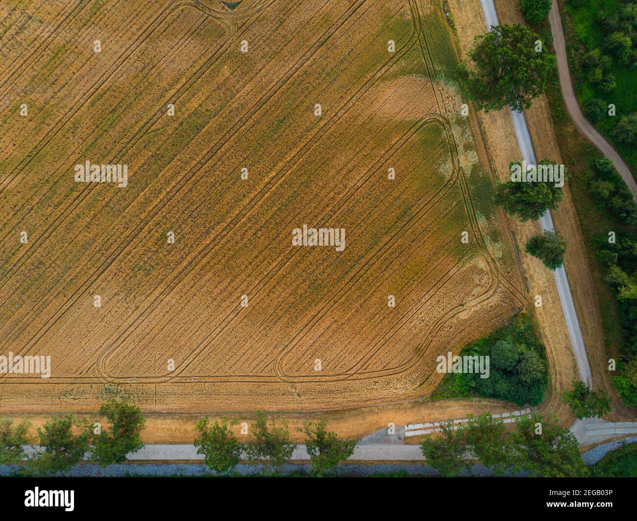 Aerial fields forest hi-res stock photography and images - Alamy