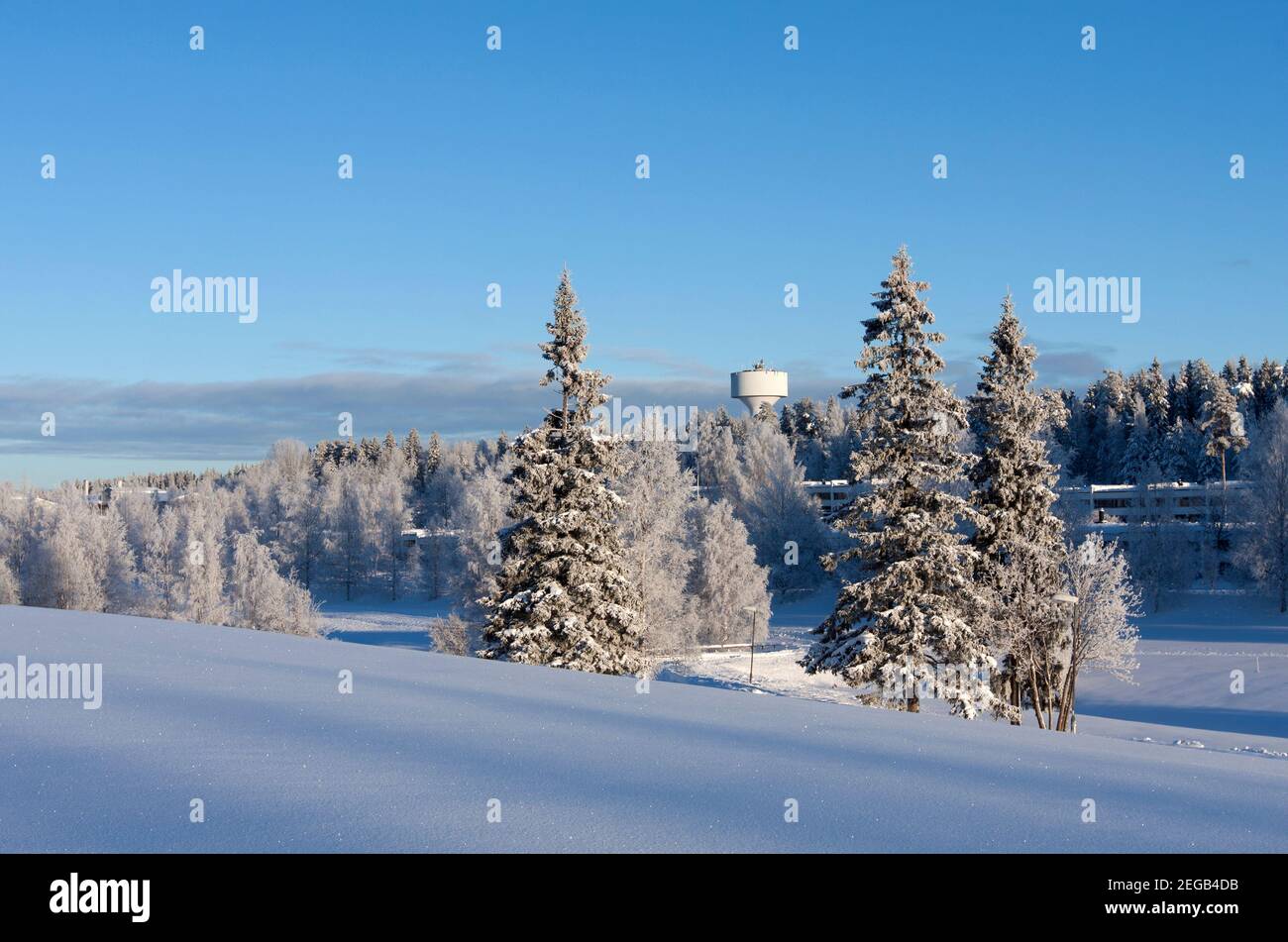 Winter, snow and frost. Bright sunshine, cold, rime and blue sky ...