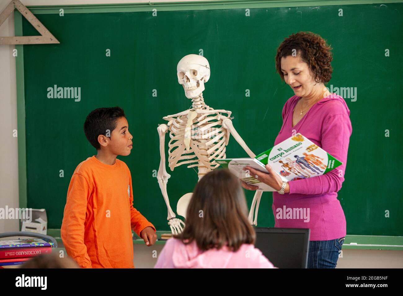 Teacher teaching her class in a school classroom Stock Photo - Alamy