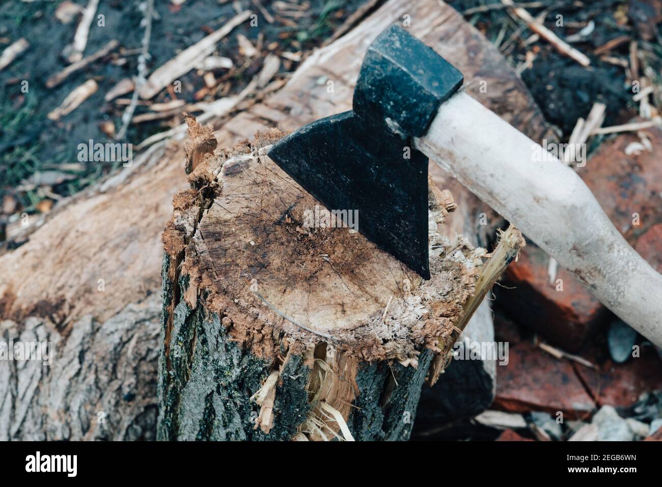 ax sticks out in the tree stump chopping firewood harvesting Stock ...