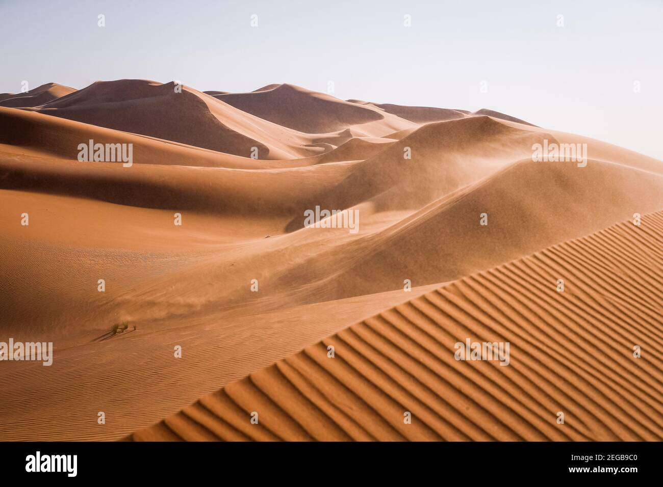 landscape, paysage during the 3rd stage of the Dakar 2021 between Wadi ...