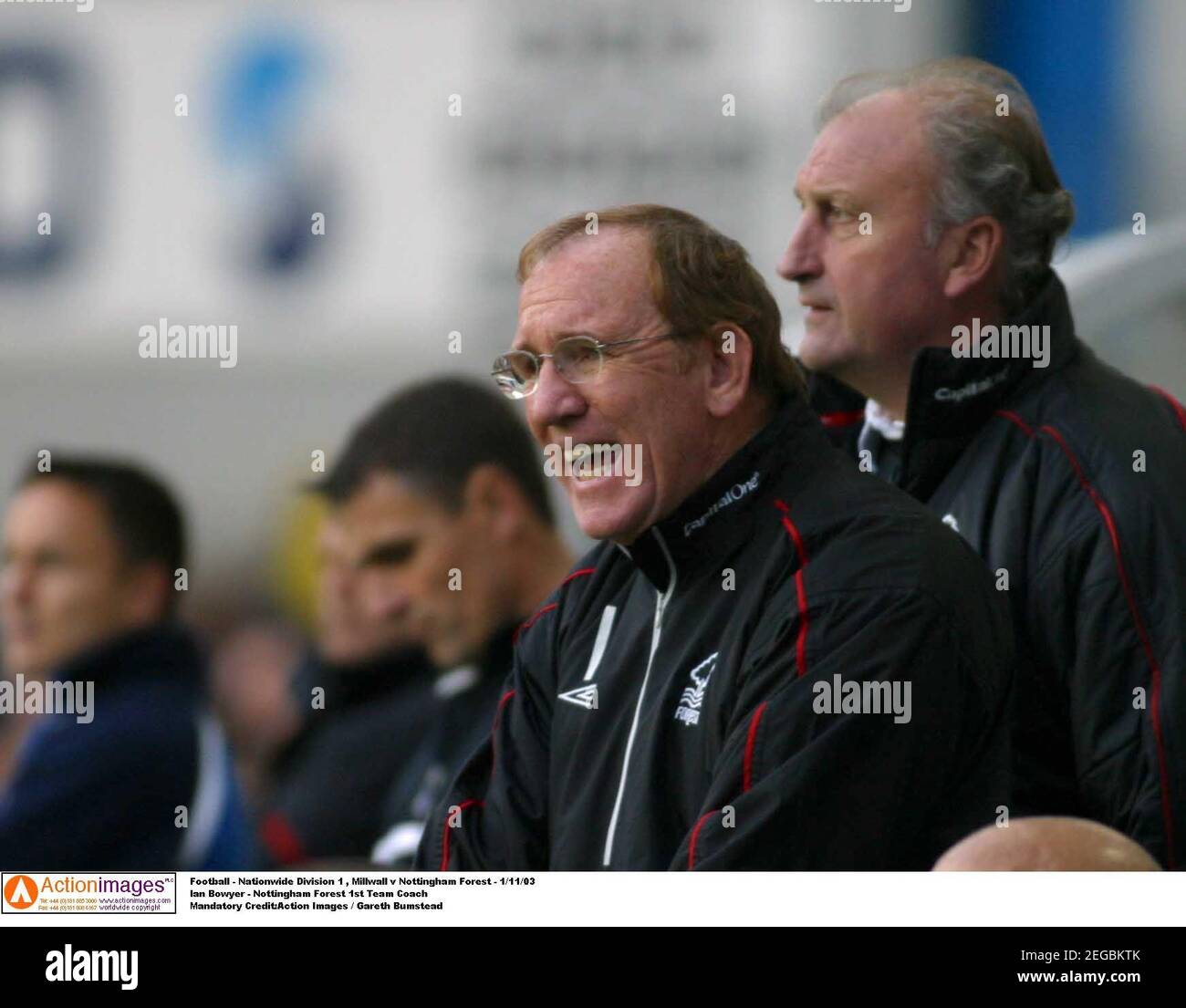 Ian Bowyer Forest High Resolution Stock Photography and Images - Alamy