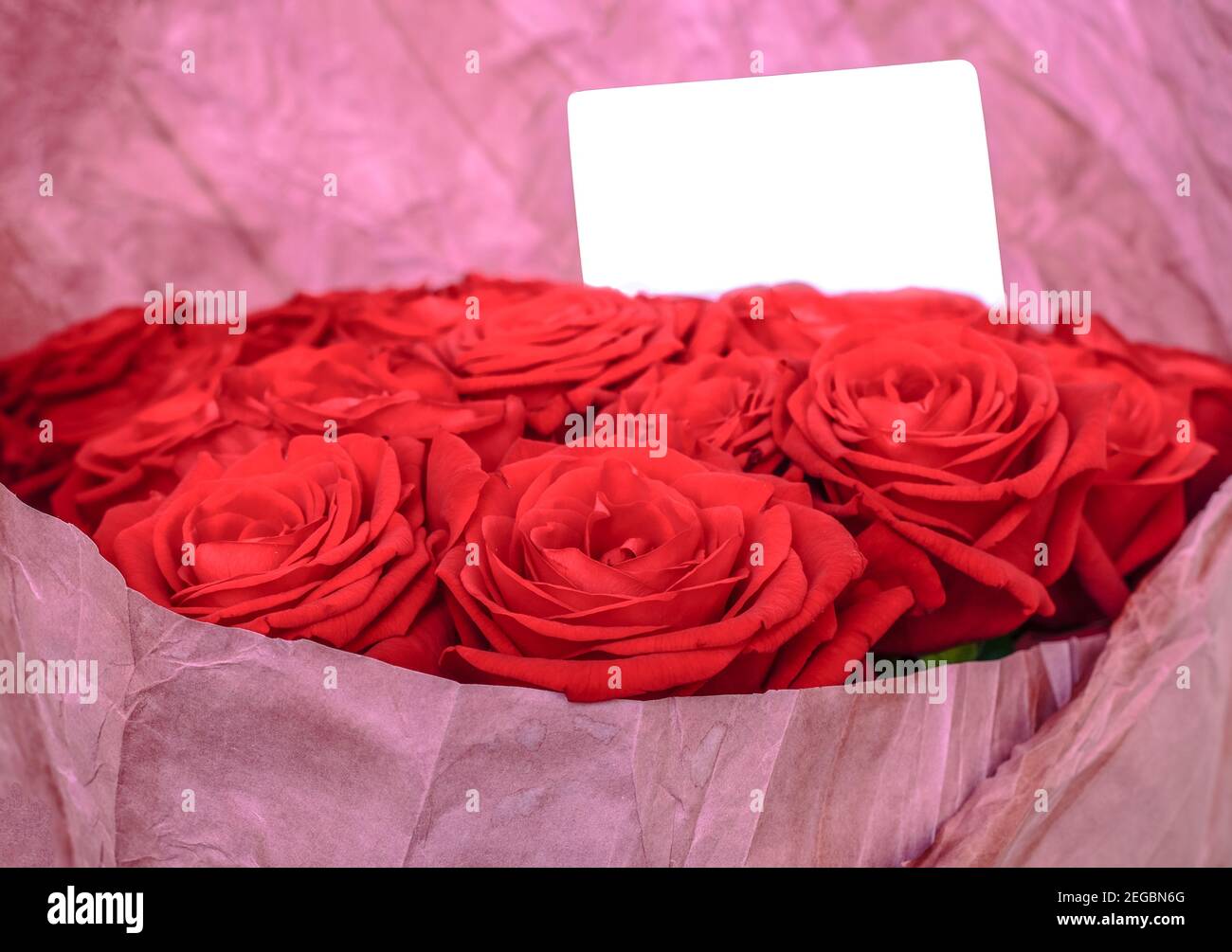Bouquet of red roses with blank message sign for your text or message ...