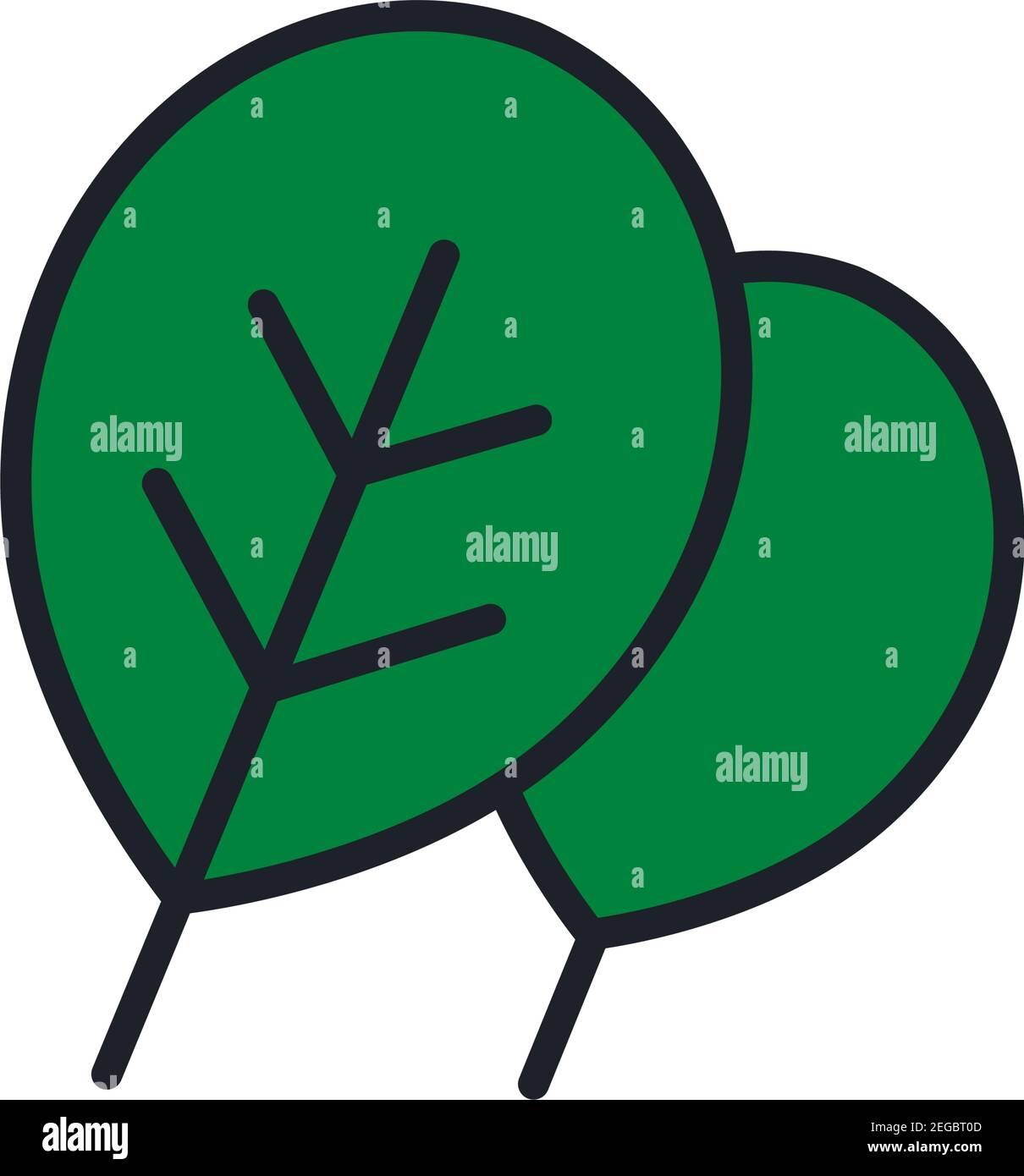 Spinach icon. Linear color icon, contour, shape, outline isolated on ...
