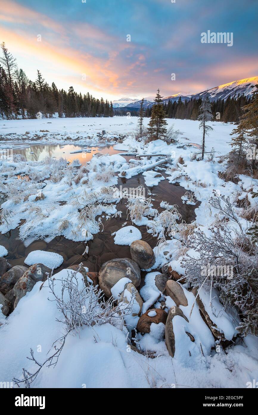 Hot Spring at Lac Beauvert, Jasper National Park Stock Photo - Alamy