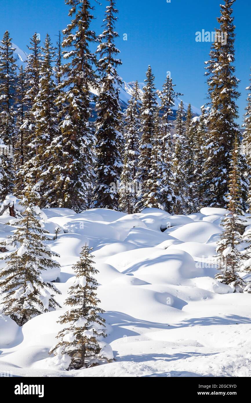 Abstract snow shapes hi-res stock photography and images - Alamy