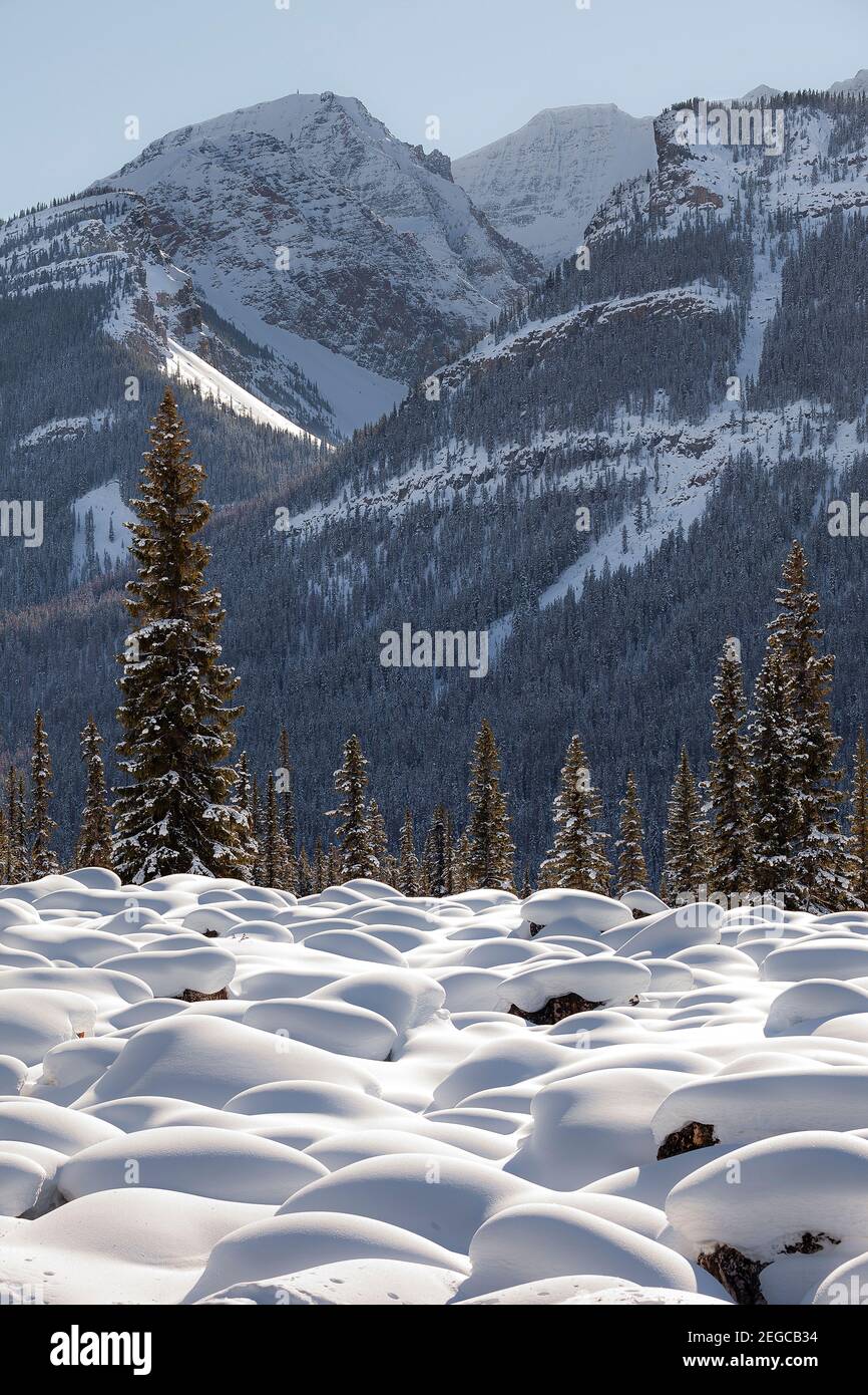 Natural snow shapes hi-res stock photography and images - Alamy