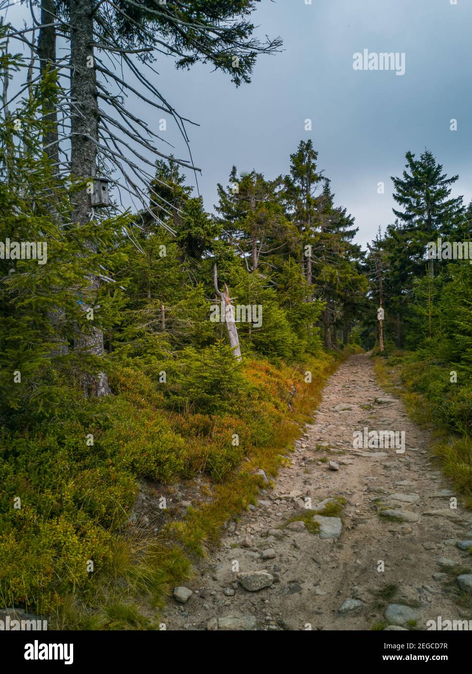 Stony pathway hi-res stock photography and images - Alamy