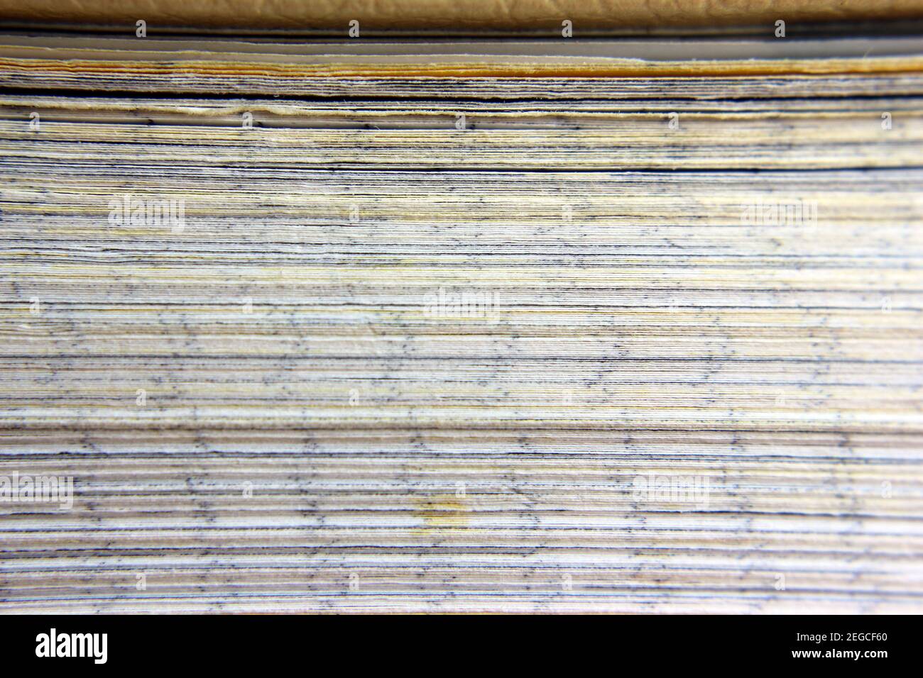 Folder, Close-up, inside of the sheets Stock Photo - Alamy