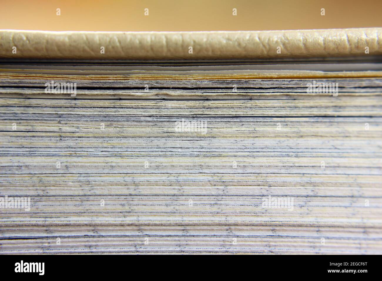 Folder, Close-up, inside of the sheets Stock Photo - Alamy