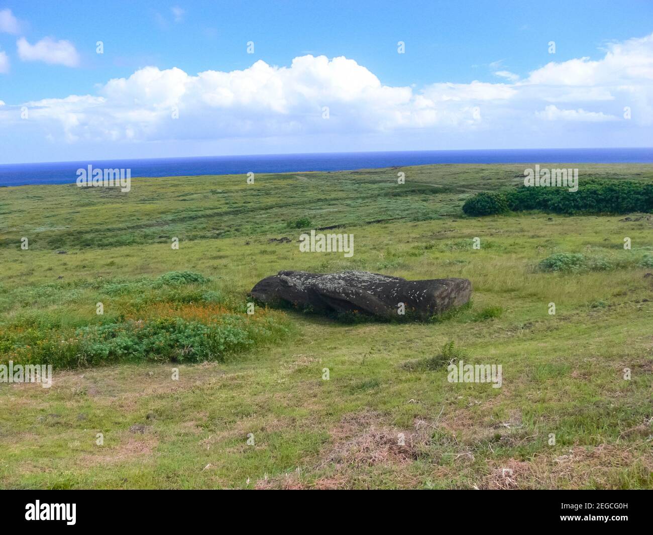 The nature of Easter Island, landscape, vegetation and coast Stock ...
