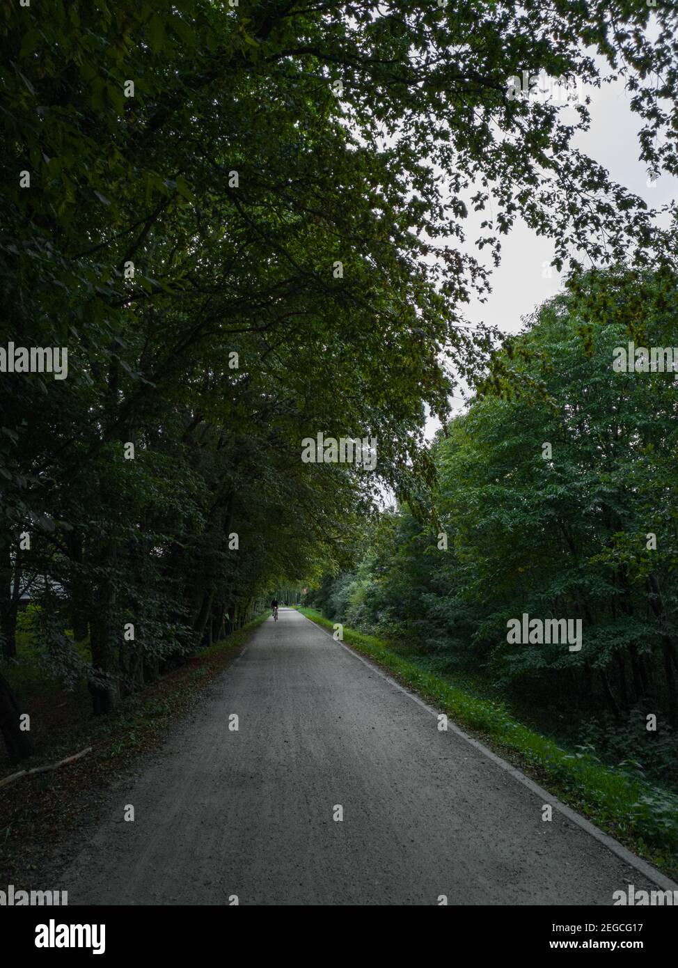 Bushes and trees hi-res stock photography and images - Alamy